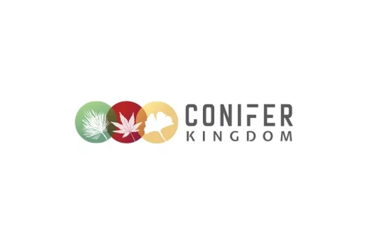 Conifer Kingdom Promo Codes - $10 Off (Verified) Jun 2026