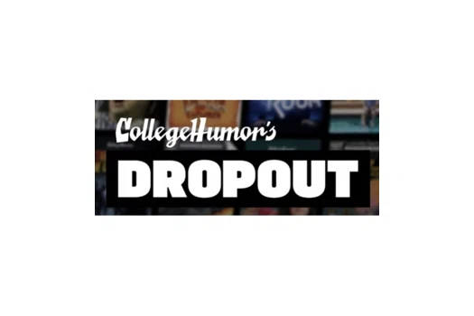 Dropout Promo Codes – 20% Off | May 2024