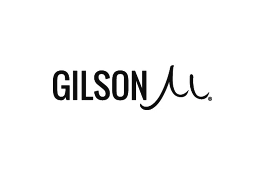 Gilson Snow Promo Codes - 10% Off (1 Verified) Jun 2026
