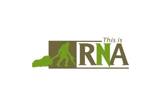 Rock-N-Arbor Promo Codes - 15% Off (1 Verified) May 2026