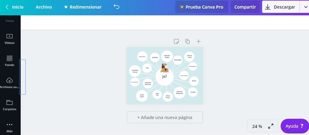 Canva Coupon Codes - up to 22% Off | November 2024