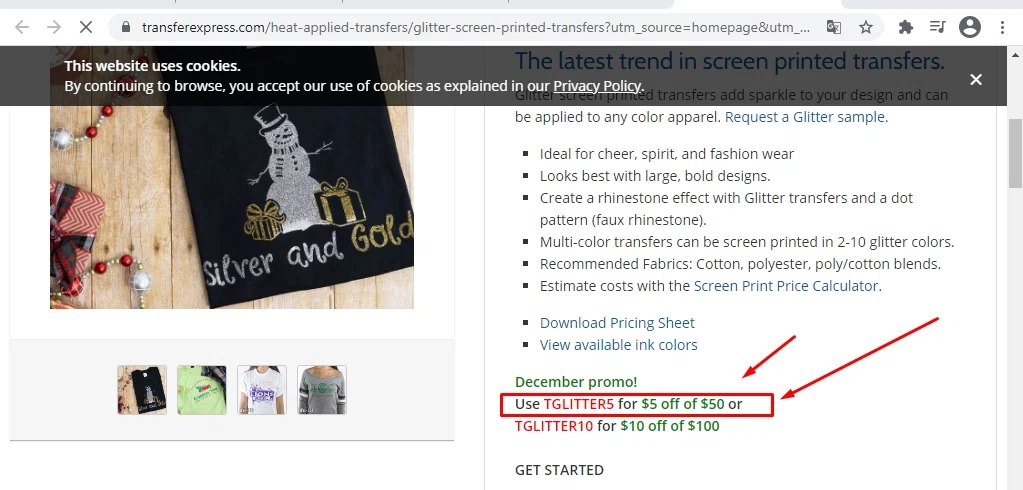 Transfer Express Promo Codes - 5% Off | January 2025