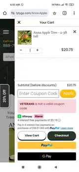 Ty Ty Nursery Promo Codes - 45% Off (7 Verified) May 2026
