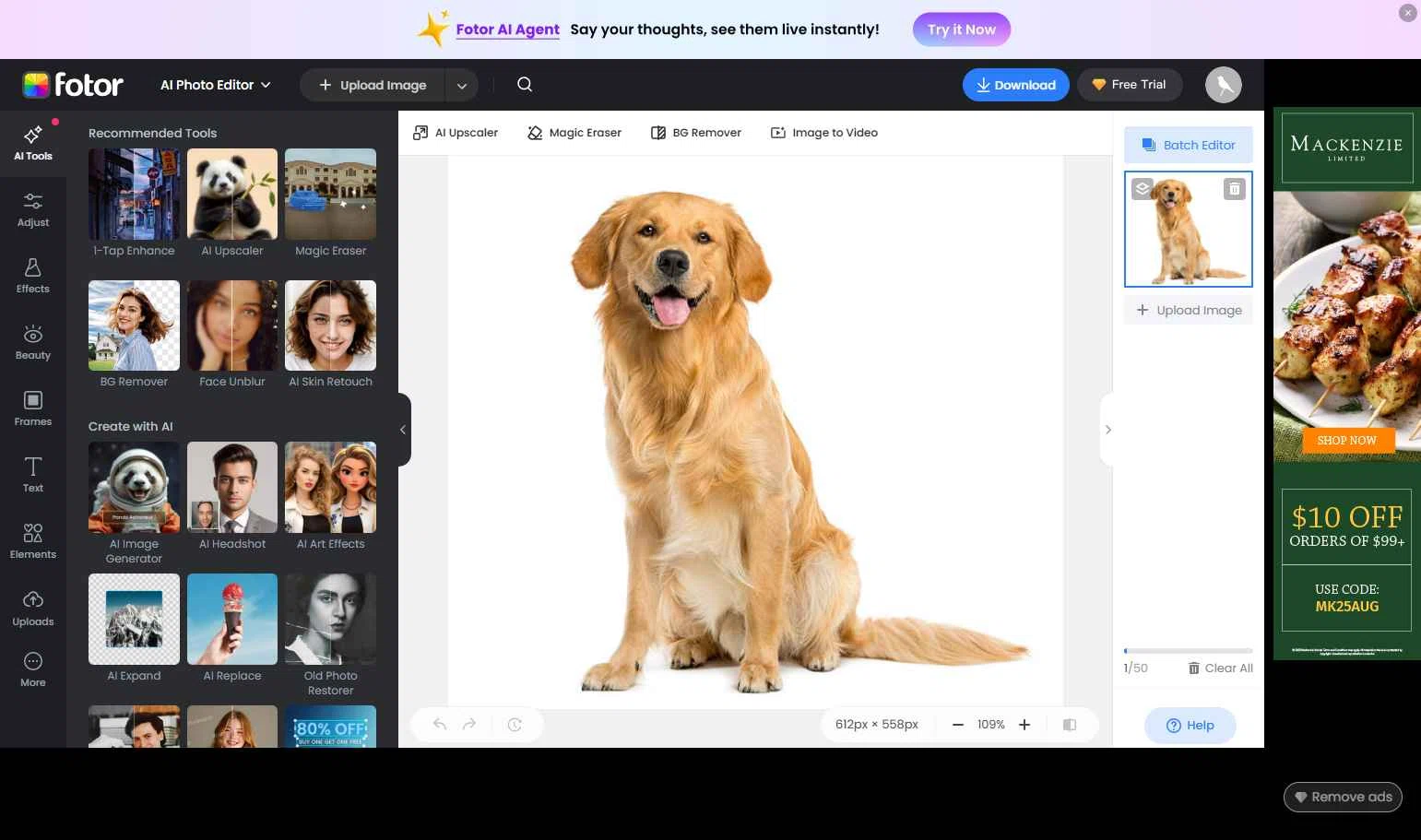 Fotor Promo Codes - 20% Off Sitewide Coupons Dec 2025