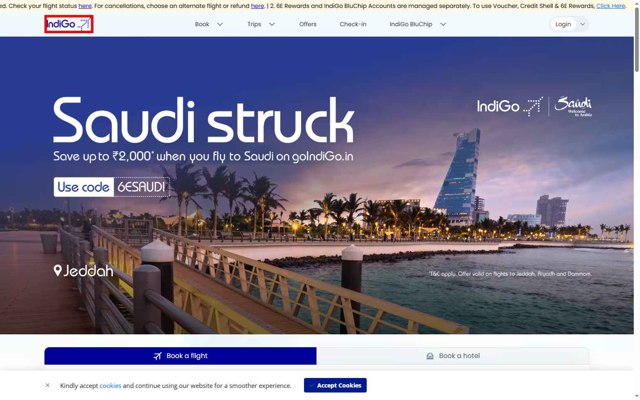 IndiGo Airlines Promo Codes - 30% Off May 2025